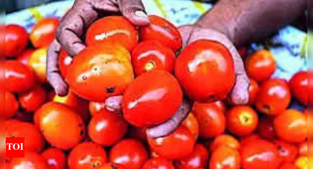 Govt cuts price of subsidised tomato to Rs 70/kg | India News - Times of India