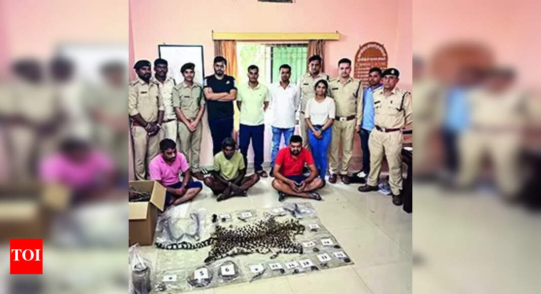 39 Held So Far In Indravati Tiger Reserve Poaching Case | Raipur News ...
