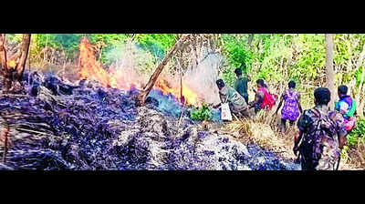 Forest Fire Put Out In Saptur Range | Madurai News - The Times of India