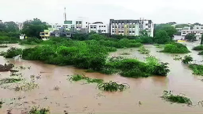 Heavy Rain Forecast Today In Parts Of Vidarbha | Nagpur News - Times of India