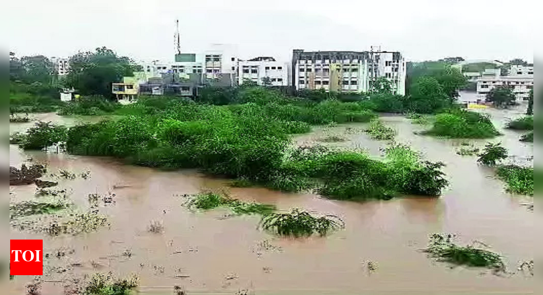 Heavy Rain Forecast Today In Parts Of Vidarbha | Nagpur News - Times of India