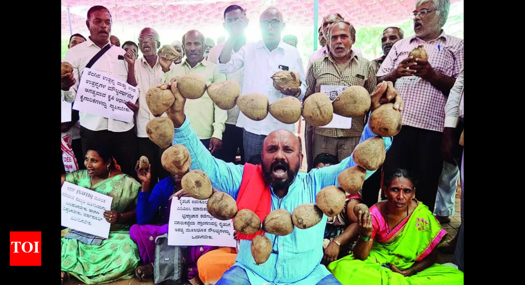 Coconut Farmers Stage Protest, Seek Better Price | Bengaluru News ...