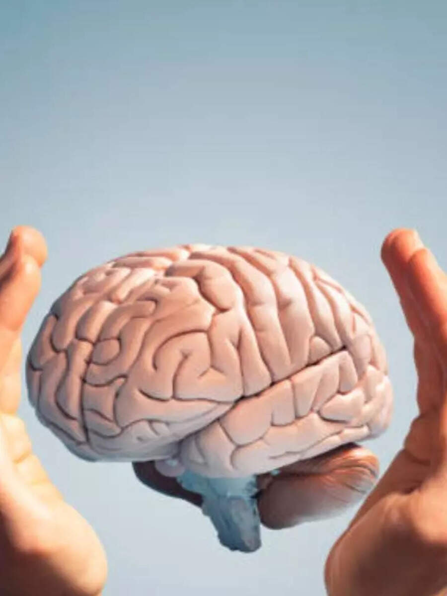 8 Foods To Improve Brain Function | Times Now