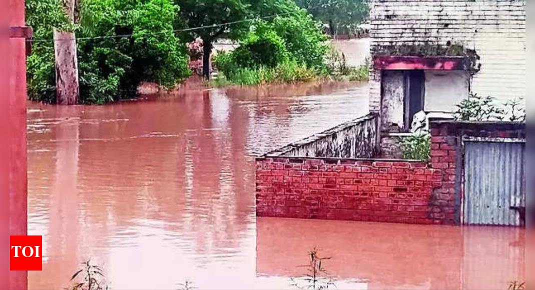 Pathankot flooded after downpour in hills leads to rise in Ujh ...