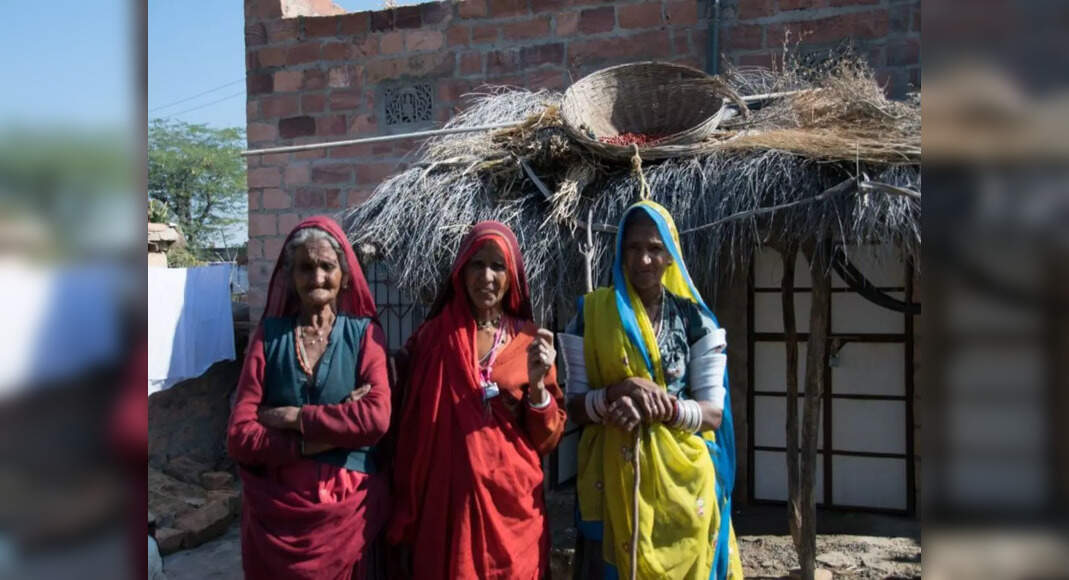 Rajasthan’s Bishnoi village: Where nature meets tradition, - TimesTravel