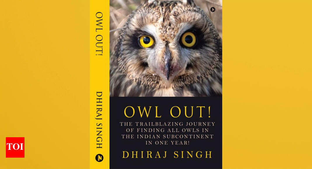 Micro review: 'Owl Out!: The Trailblazing Journey of Finding All Owls ...