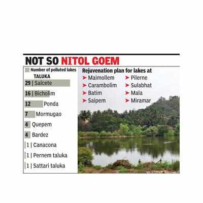75 water bodies in Goa polluted with sewage, says WRD minister | Goa ...