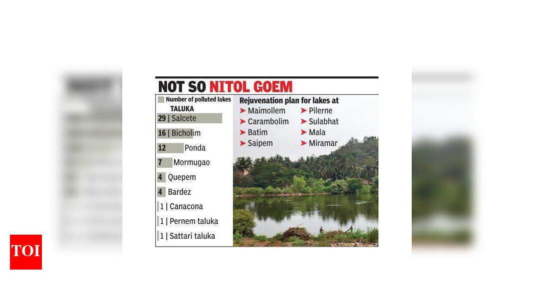 75 water bodies in Goa polluted with sewage, says WRD minister | Goa ...