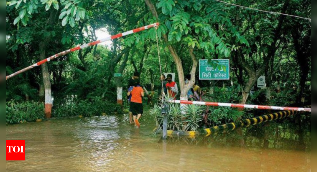 Ghaziabad Floods: Hindon river swells in Ghaziabad, floods city forest, swamps villages ...