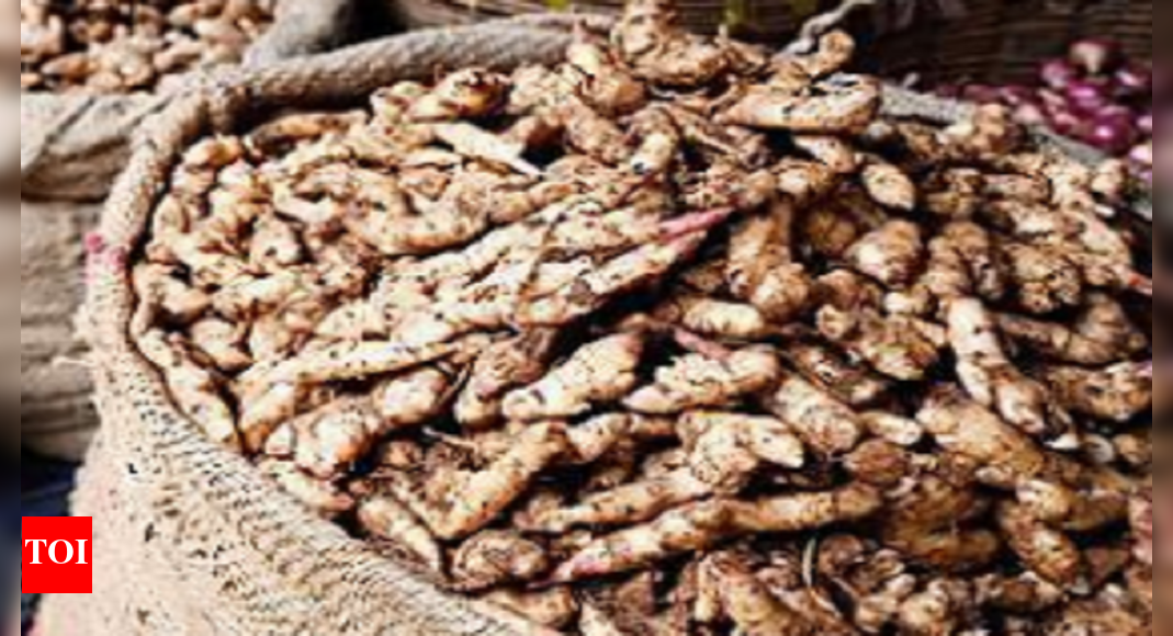 Ginger Price In Karnataka: At Rs 400/kg, now ginger singes kitchen ...