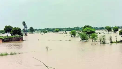 'Extreme' flood situation in 4 UP rivers, two 'severe': CWC | Meerut ...