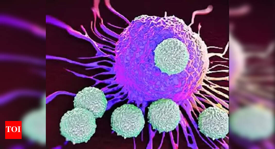 Synthetic Peptide To Kill Deadly Bacteria Resisting Antibiotics ...