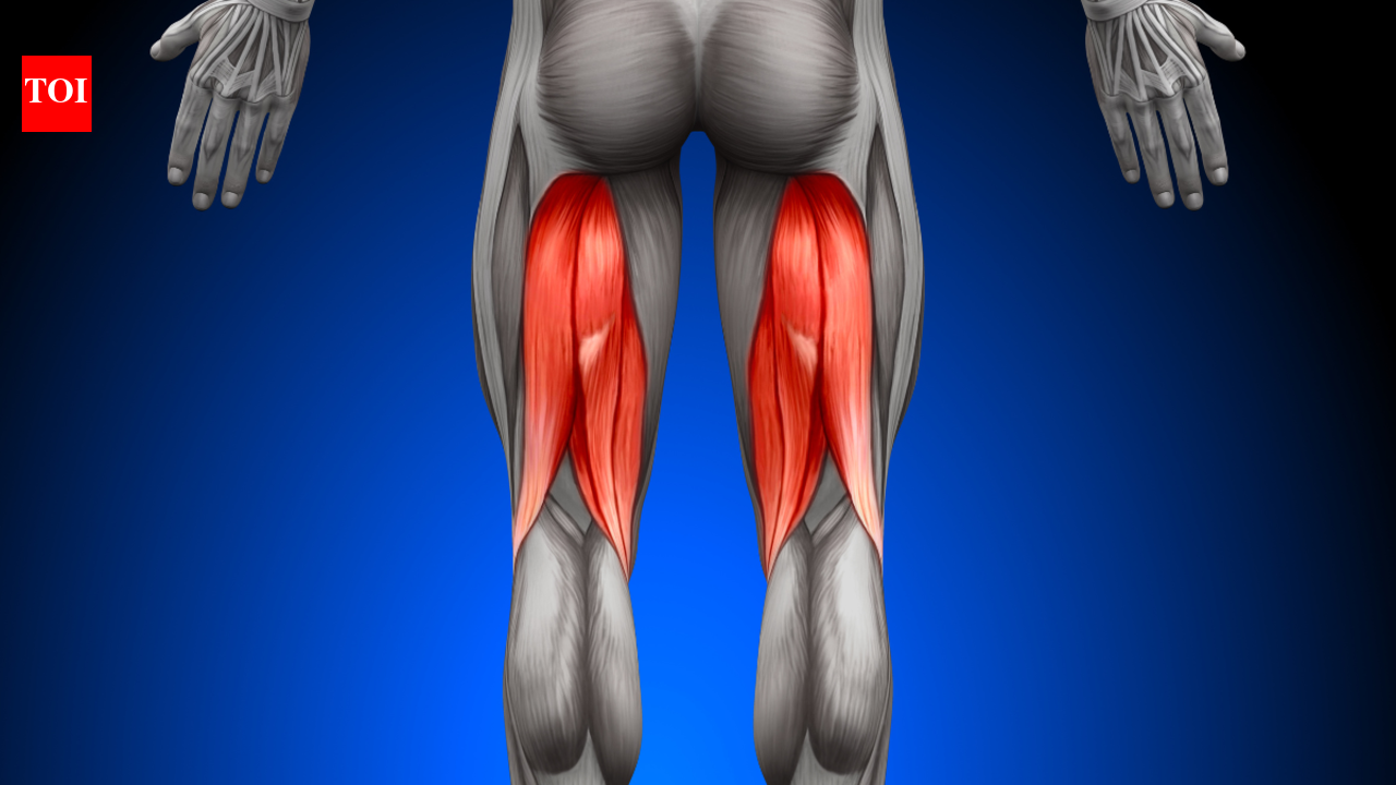 Signs you have weak and tight hamstrings (learn how to get them strong ...