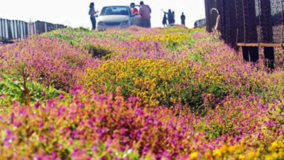 Study of sediments shows climate change impact on Kas Plateau around ...