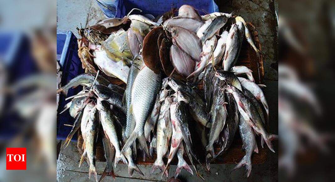 To appease love for fresh fish, vendors offer farm-bred varieties to ...