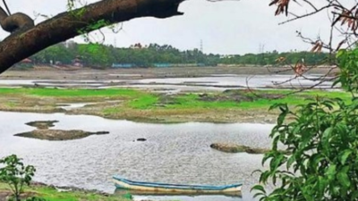 Greens Raise Concern Over Dry Holding Pond In Vashi, Allege Over 5m ...