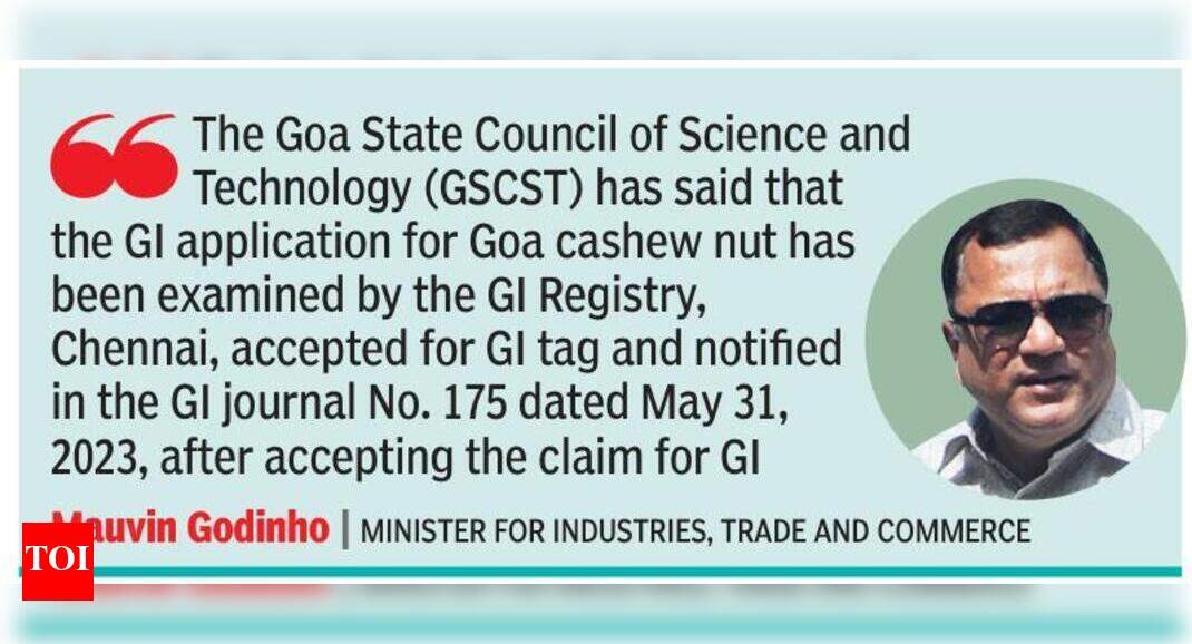 Many Goa-specific items still awaiting GI tag: Min | Goa News - Times ...