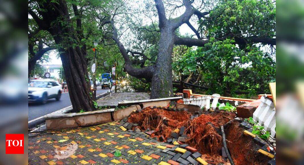 Goa on flood alert as state breaches 2,000mm mark | Goa News - Times of ...