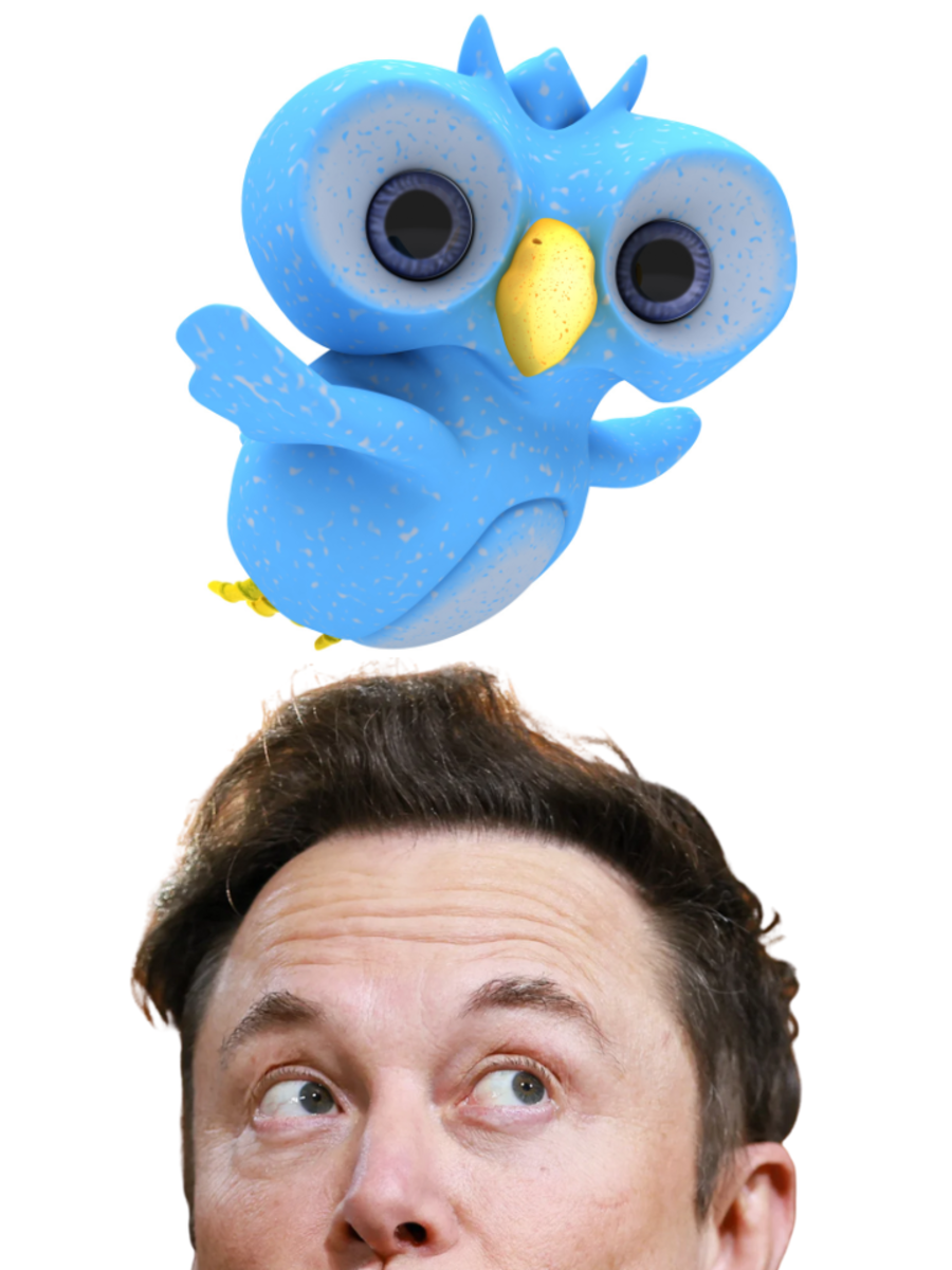 The Evolution of Twitter Logo Over Time | Times Now