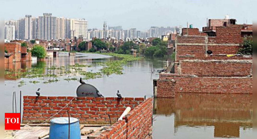 Noida Floods: Hindon crosses 201m mark, 500 living on floodplains ...
