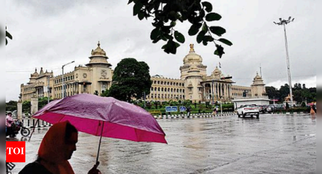 Karnataka Rains: Heavy rain continues to lash parts of Karnataka, 7 ...