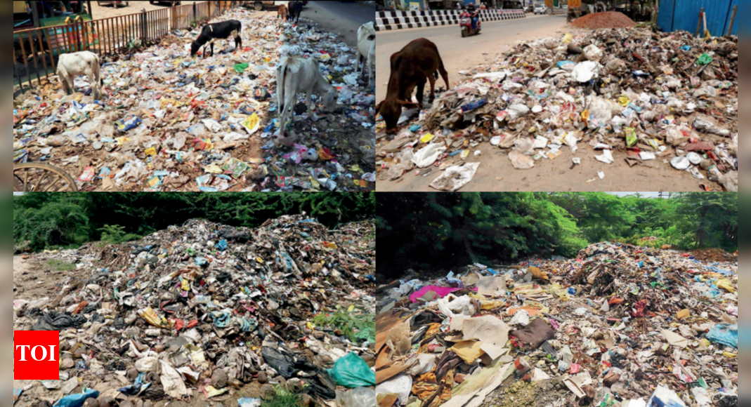 Still No One To Pick? City Drowns In Its Own Waste | Gurgaon News ...