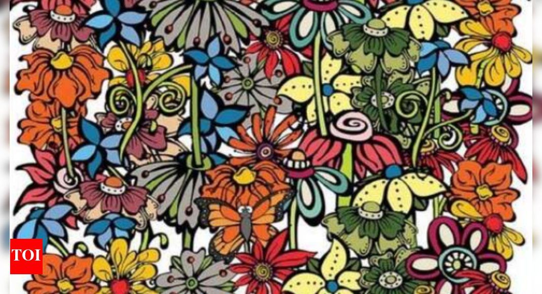 Optical illusion challenge: Only the sharp-eyed can spot the butterfly ...