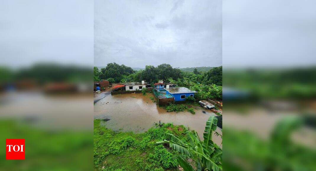 Anjunem dam water released as level touches 90m | Goa News - Times of India