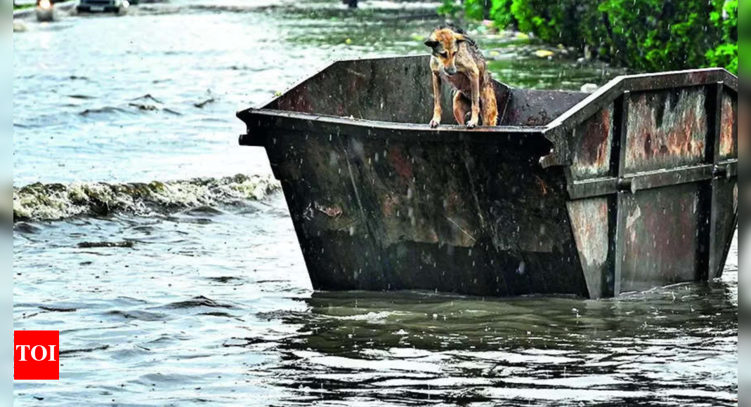 Delhi Weather News: Rains brings relief, Delhi sees second wettest July ...