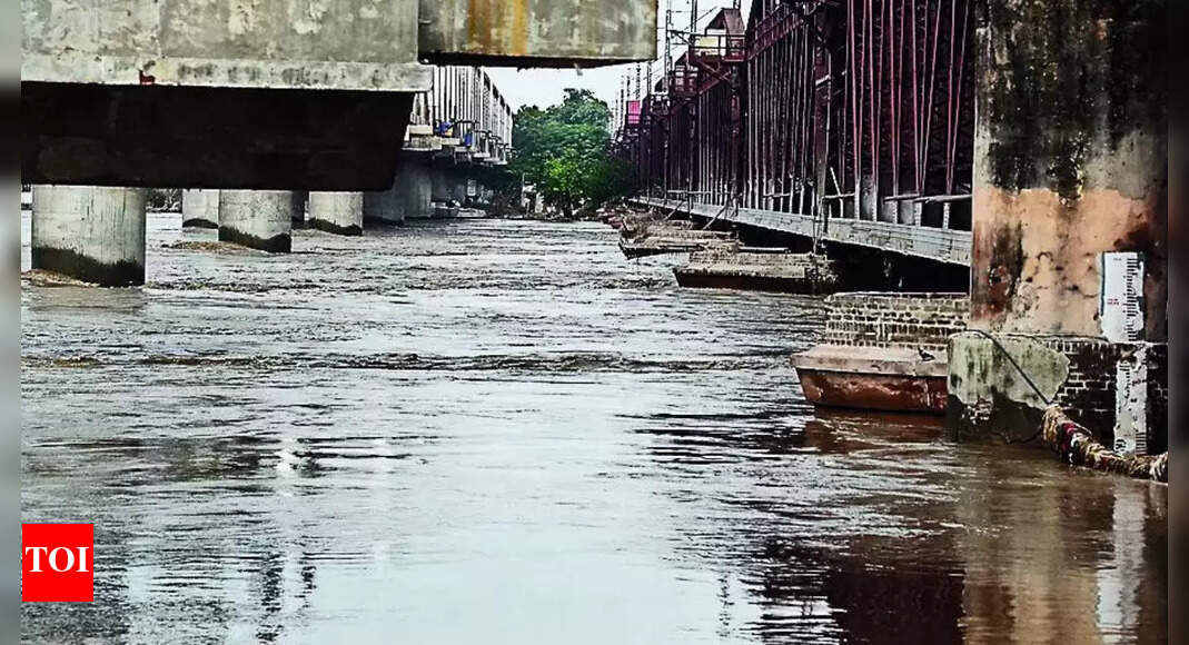 Yamuna Water Level Today: Yamuna level rises marginally, officials say ...