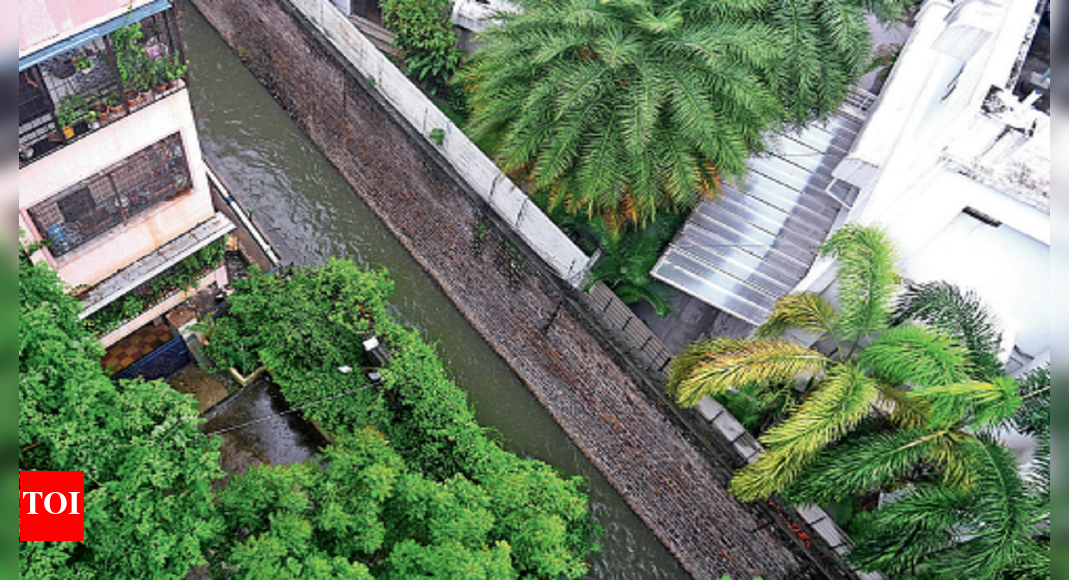 Manikonda: Multi-crore homes of Manikonda open to ﬂooded roads & stench ...