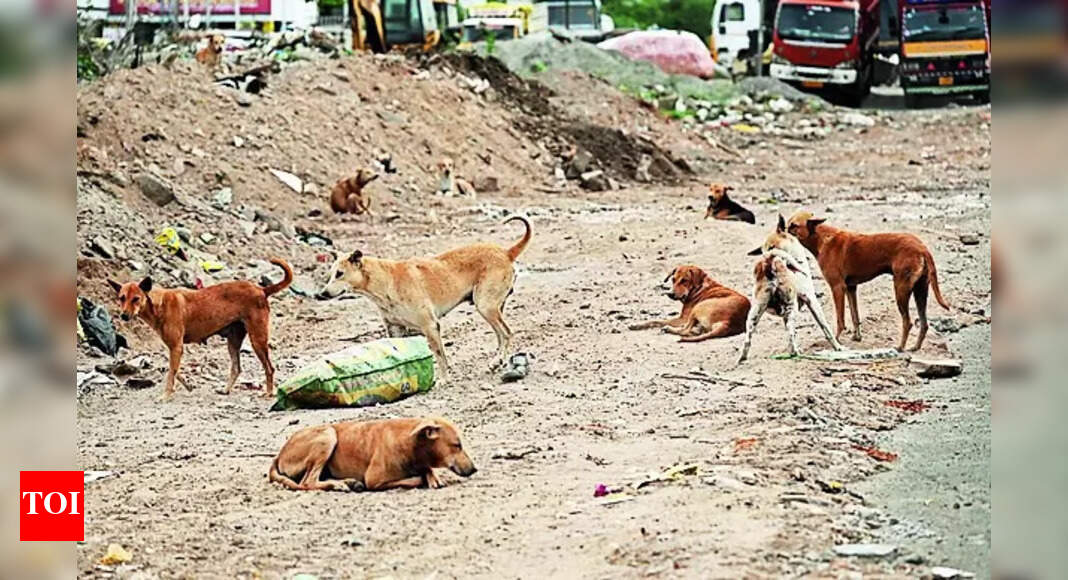 307 Died Of Rabies In India Last Yr, Max 48 In Del: Data Tabled In Parl ...