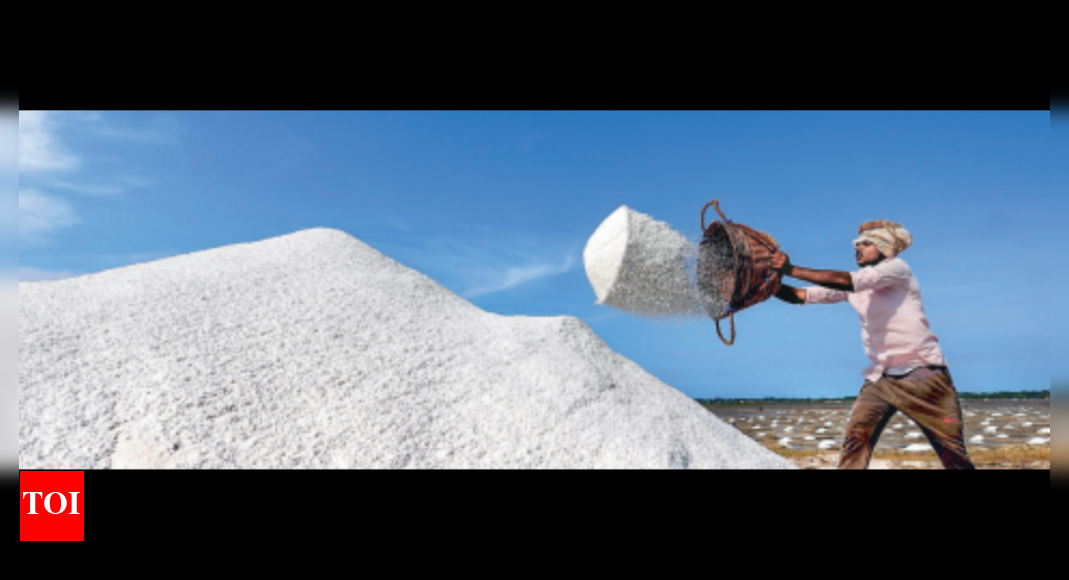 Salt workers’ welfare board set up, now needs to step up | Chennai News ...