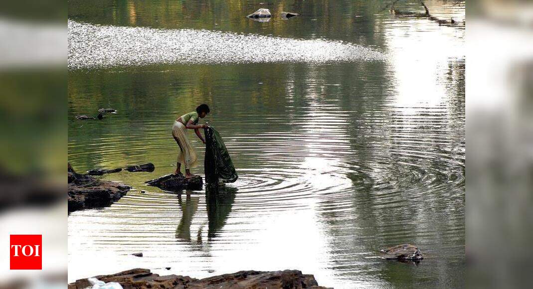 Mhadei home to generations, sanctuary came later: Deviya | Goa News ...