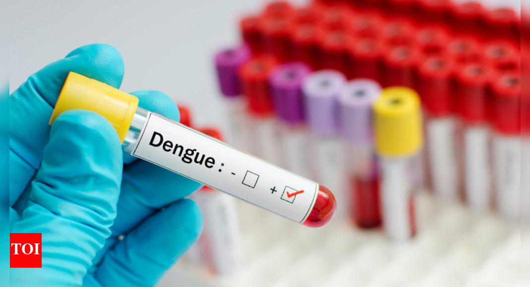 Requests for dengue test pour in at labs, positivity rate goes up in ...
