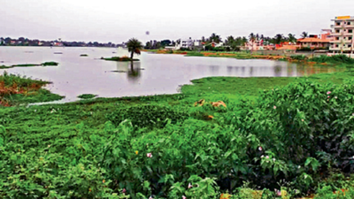 Lakes: Court Directs Hmda To Survey All Lakes, Submit Report Within 2 ...
