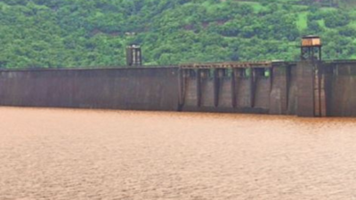 Storage In 19 Dams In Bhima Basin Crosses Halfway-mark | Pune News ...