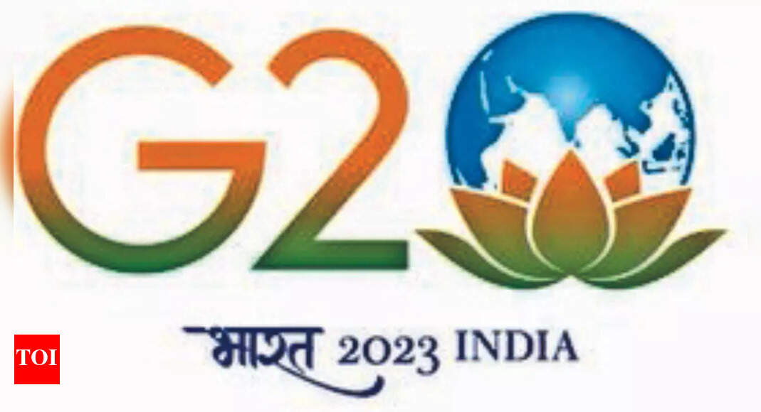 G20 meeting: Spotlight on resilient ocean-based economy | Chennai News ...