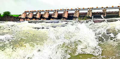 Sneakers: Water From Gangapur Dam Discharged For The First Time | Nashik News - Times of India
