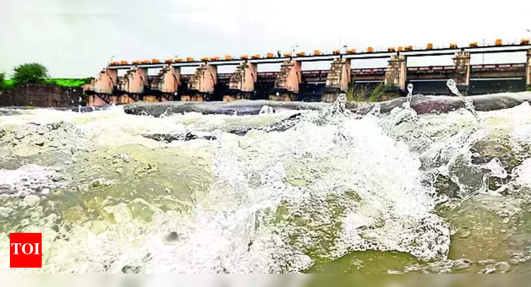Sneakers: Water From Gangapur Dam Discharged For The First Time | Nashik News - Times of India