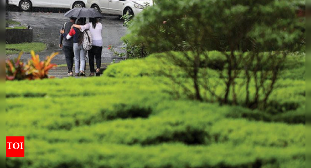 This month records highest July rain in 3 decades | Goa News - Times of ...