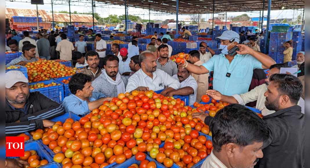 Rs 4 Crore In 45 Days Andhra Pradesh Farmer Lands A Windfall With