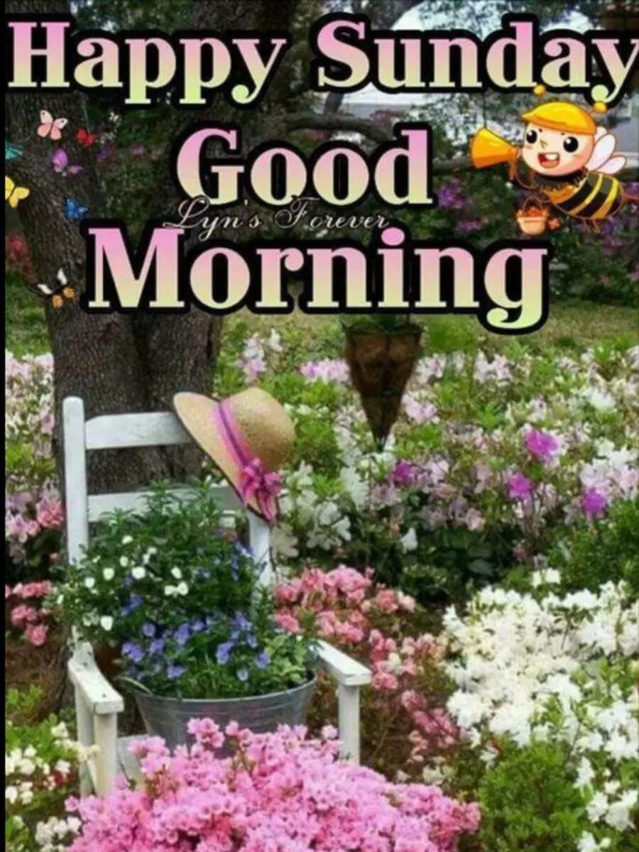 Good Morning Images To Wish A Happy Sunday | Times Now