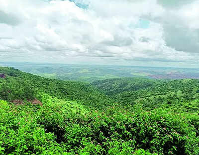 Safari: Forest Dept Gears Up To Roll Out Safari In Kappatagudda ...