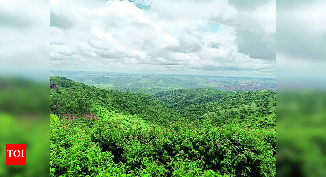 Safari: Forest Dept Gears Up To Roll Out Safari In Kappatagudda ...