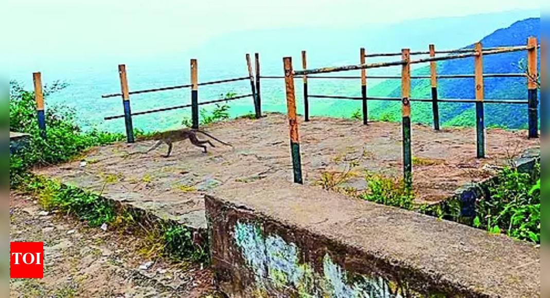 Trekking: Trekking, Adventure Tourism On Cards In Pachamalai Hills ...