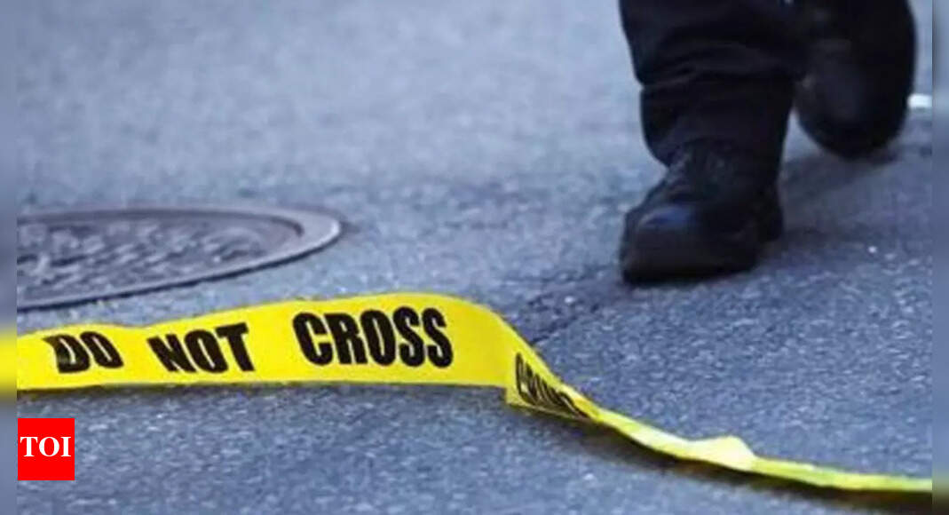 Indian-origin teen stabbed, robbed on his birthday in Australia - Times ...