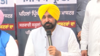 Punjab CM Bhagwant Mann pledges to compensate every flood-hit individual | Chandigarh News ...