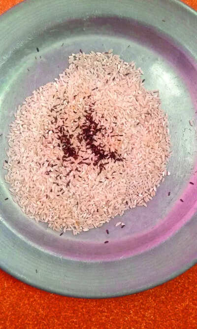 Waste Management: Weevils From Fci Warehouse Pose Health Hazard To ...