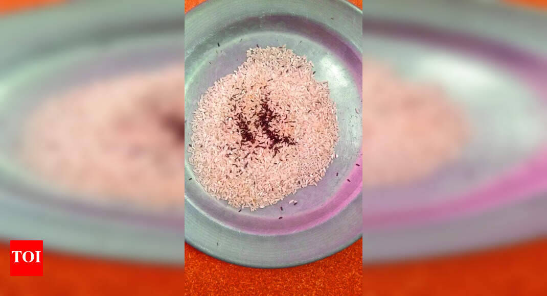 Waste Management: Weevils From Fci Warehouse Pose Health Hazard To ...